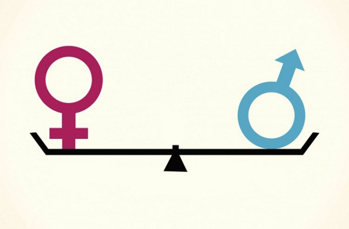 Promoting gender equality through the EU accession process – Centar za ...